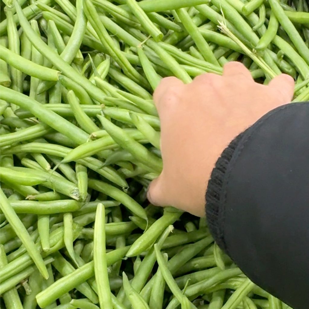 Fresh vs Frozen Green Beans: Cost Calculator - Thali Method